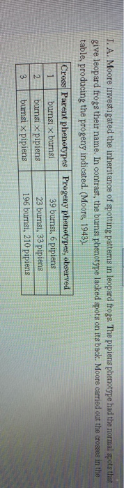 Solved J. A. Moore investigated the inheritance of spotting | Chegg.com