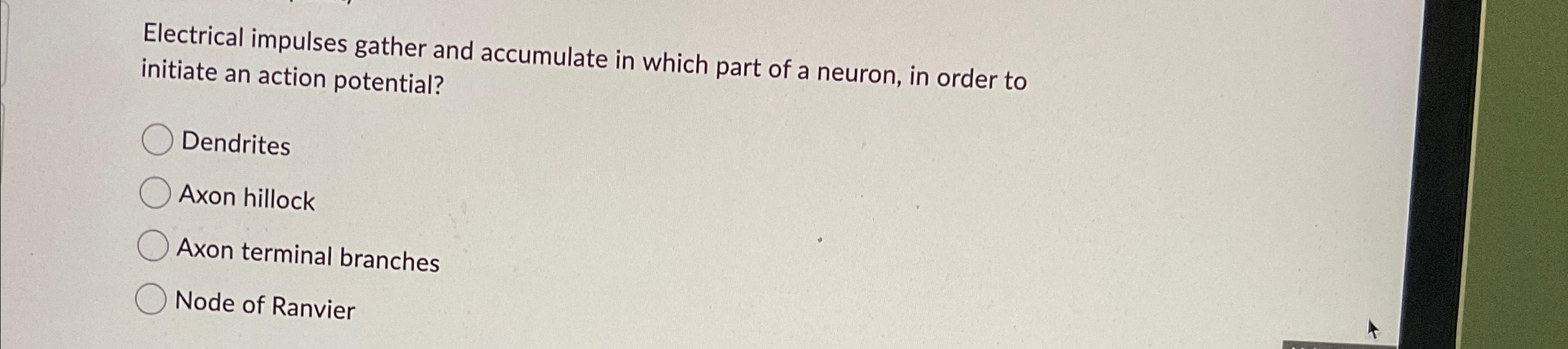 Solved Electrical impulses gather and accumulate in which | Chegg.com