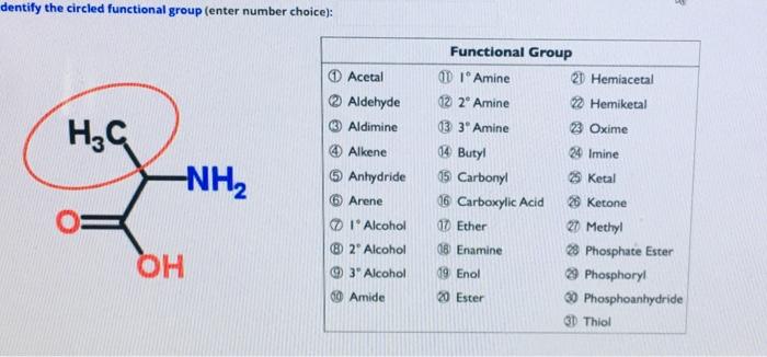 Phosphoryl Functional Group
