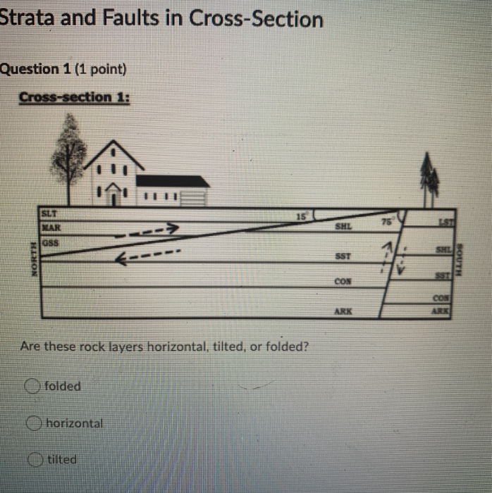 Solved Strata and Faults in Cross-Section Question 1 (1 | Chegg.com