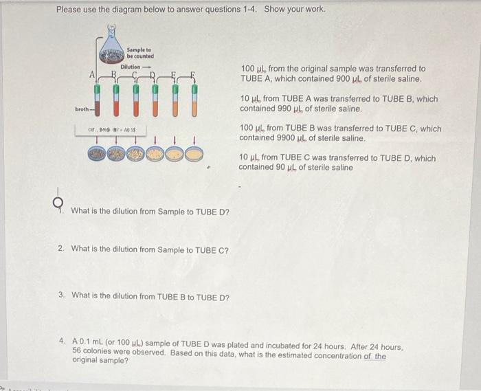 Solved use the diagram to answer the following 4 questions. | Chegg.com