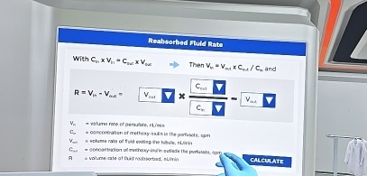 Solved Reabsorbed Fluld Rate R=Vh-Vω14=V. - ﻿valuma rate of | Chegg.com