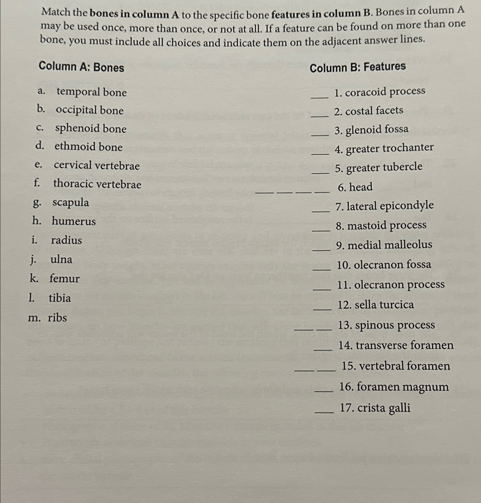 Solved Match the bones in column A to the specific bone | Chegg.com