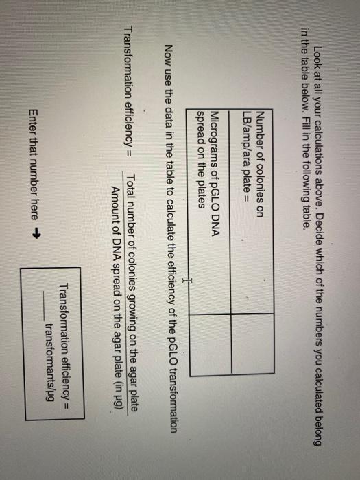 Solved Calculate Transformation Efficiency The Total Number