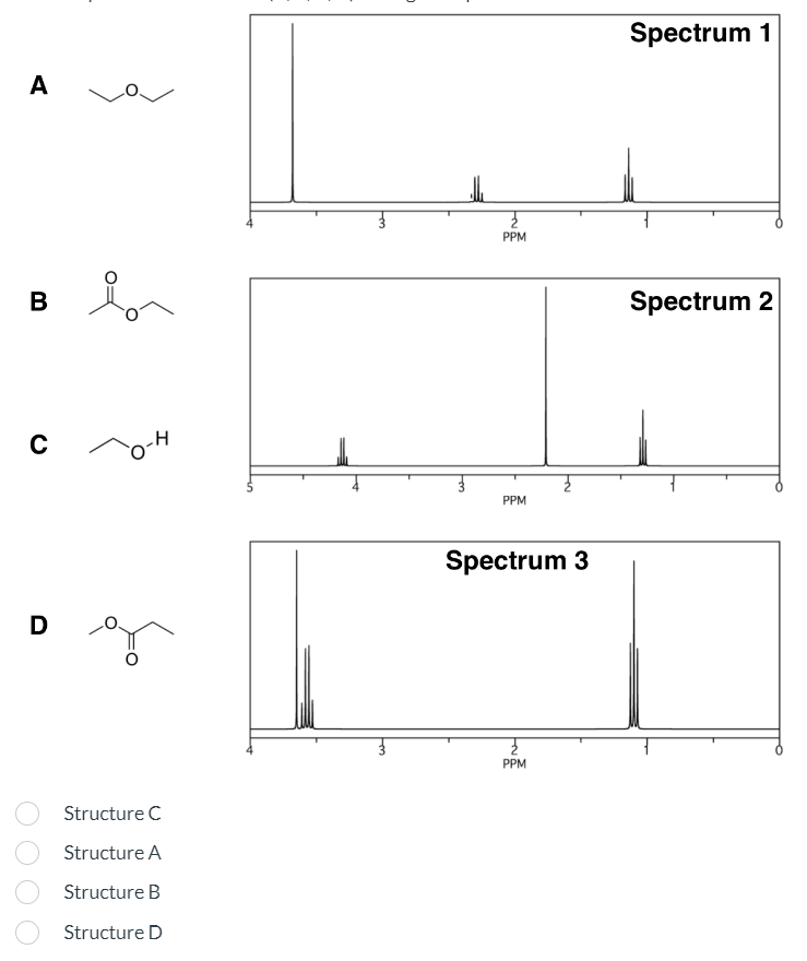 Solved Which alphabetized structure (A, ﻿B, ﻿C, ﻿D) ﻿belongs | Chegg.com