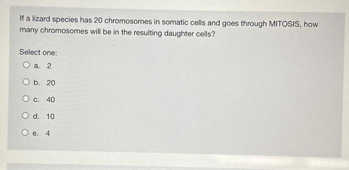 Solved If a lizard species has 20 chromosomes in somatic | Chegg.com