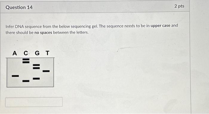 Solved Infer DNA sequence from the below sequencing gel. The | Chegg.com
