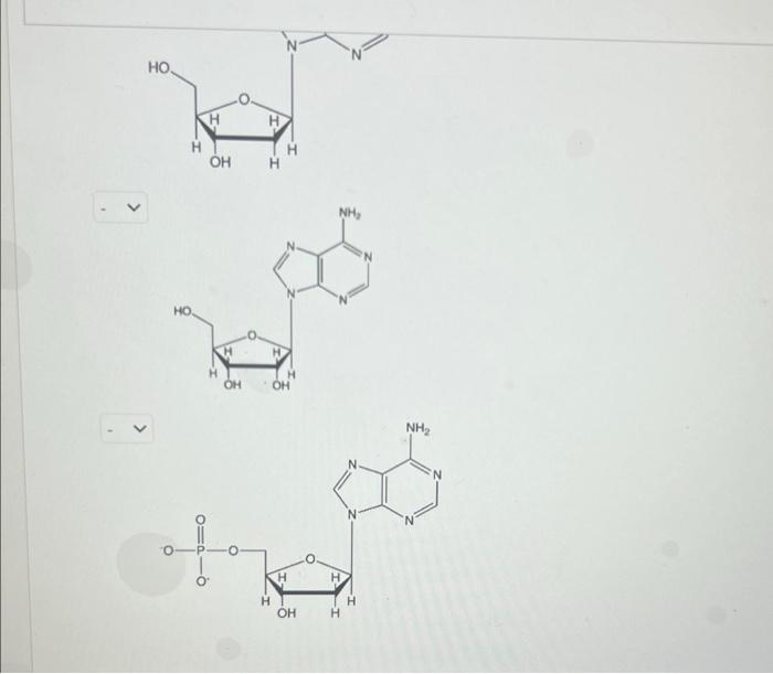 Solved Match the correct name to each of the structures | Chegg.com