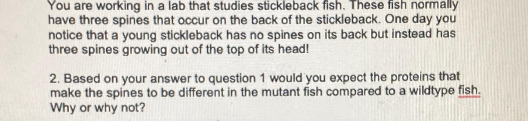 Solved You are working in a lab that studies stickleback | Chegg.com