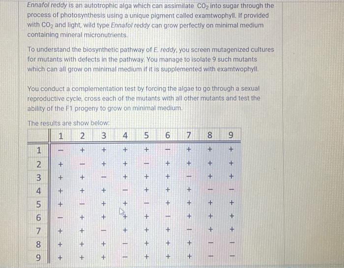 Solved There are four complementation groups: Group 1 | Chegg.com