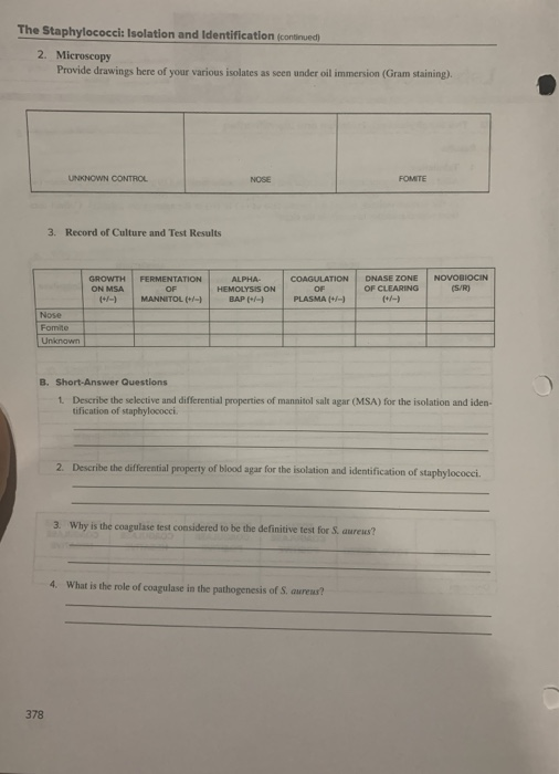 Solved The Staphylococci: Isolation and Identification | Chegg.com