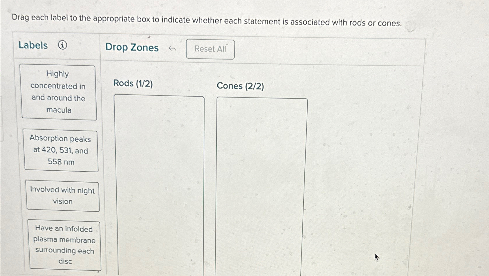Solved Drag each label to the appropriate box to indicate | Chegg.com