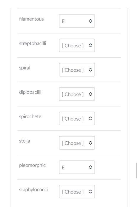 Solved Prokaryotic Shapes and Arrangements Match the | Chegg.com