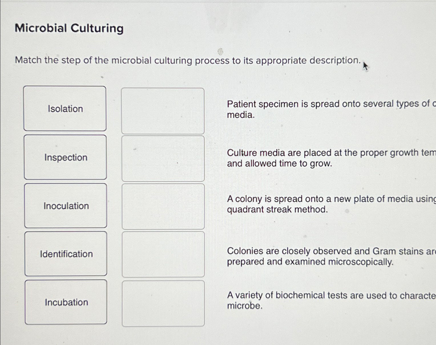 Solved Microbial CulturingMatch the step of the microbial | Chegg.com