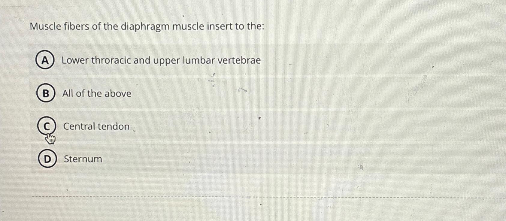 Solved Muscle fibers of the diaphragm muscle insert to | Chegg.com