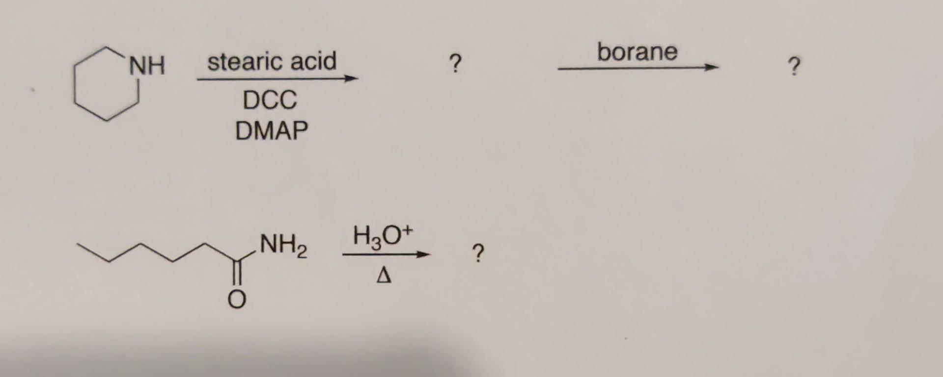 Solved DMAP DCC stearic acid ? Δ H3O+ ?Provide products | Chegg.com
