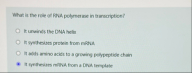 Solved What is the role of RNA polymerase in | Chegg.com