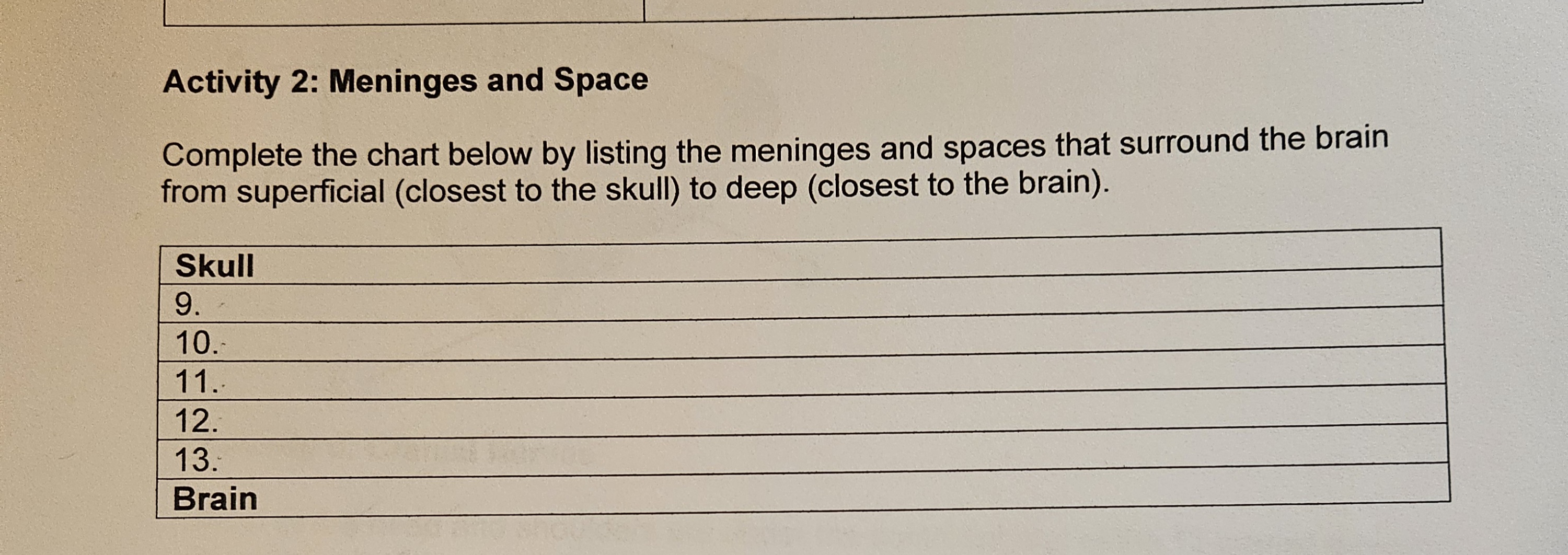 Solved Activity 2: Meninges and SpaceComplete the chart | Chegg.com