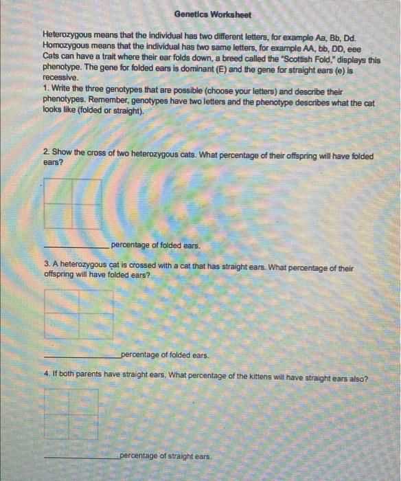 Solved Genetics Worksheet Heterozygous means that the | Chegg.com
