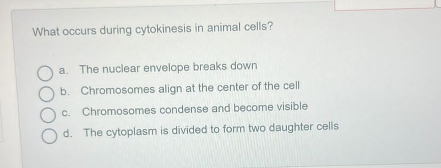 Solved What occurs during cytokinesis in animal cells?a. | Chegg.com