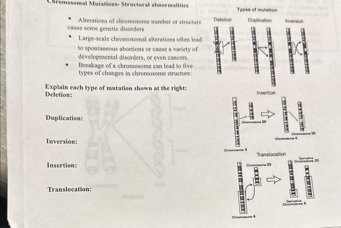 Solved - Alterations of chromosome number or structure cause | Chegg.com