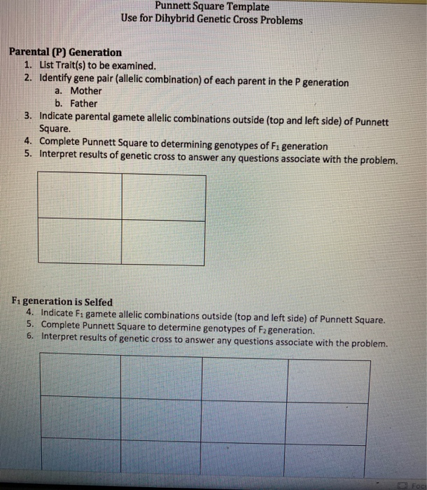 Punnett Square Template Use For Dihybrid Genetic Chegg