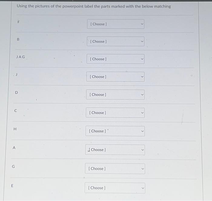 H A G E Using the pictures of the powerpoint label | Chegg.com