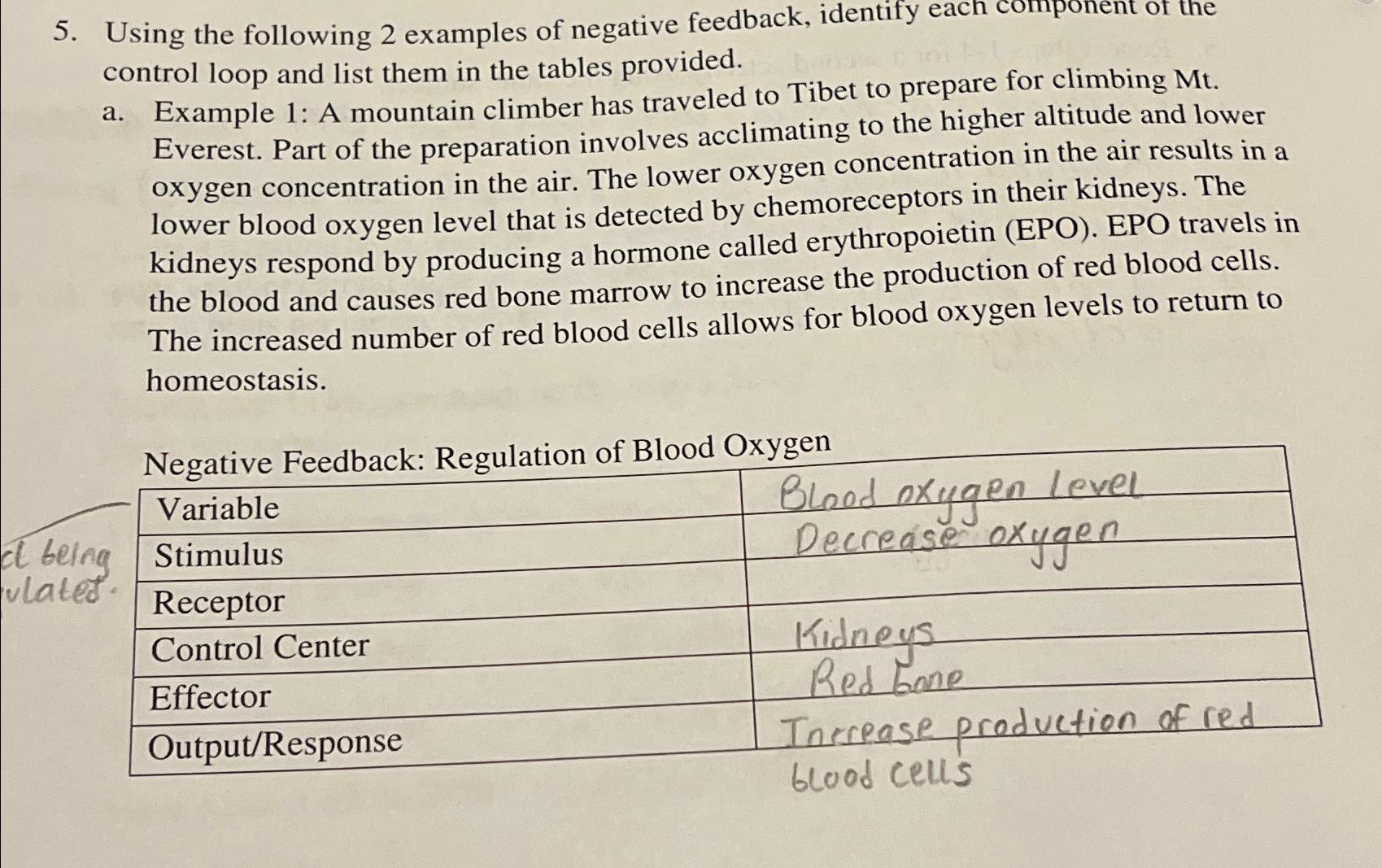Solved Using the following 2 ﻿examples of negative feedback, | Chegg.com