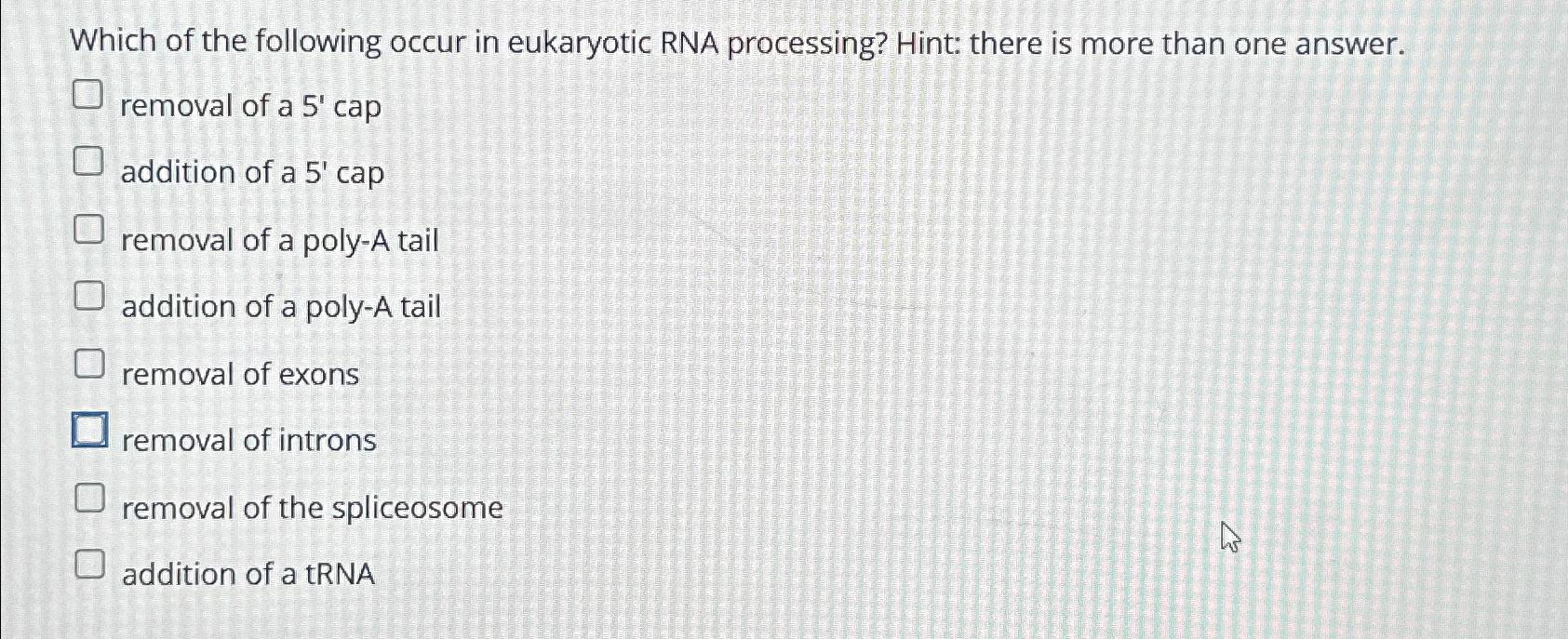 Solved Which of the following occur in eukaryotic RNA | Chegg.com