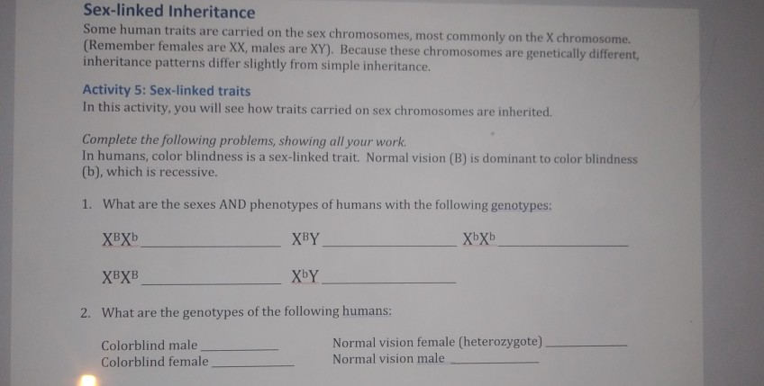 Solved Sex-linked Inheritance Some human traits are carried | Chegg.com