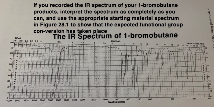 Solved If you recorded the IR spectrum of your 1-bromobutane | Chegg.com