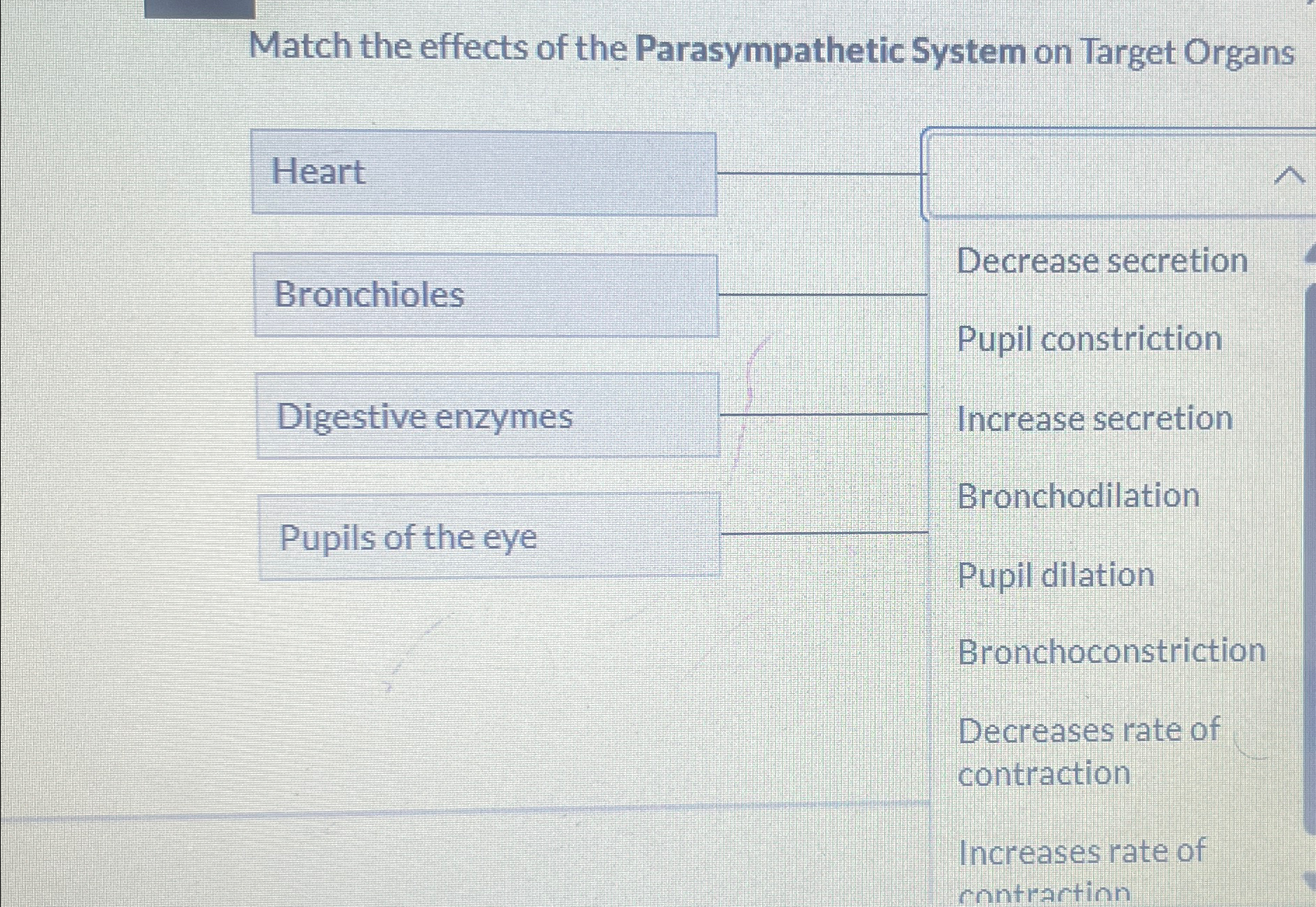 Solved Match the effects of the Parasympathetic System on | Chegg.com