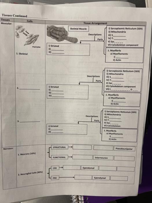Solved Activity A. Concept Map. Complete the following | Chegg.com