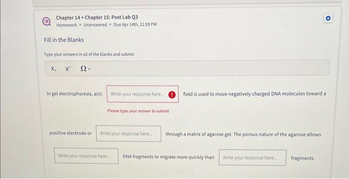 Solved Fill in the Blanks Type your answers in all of the | Chegg.com