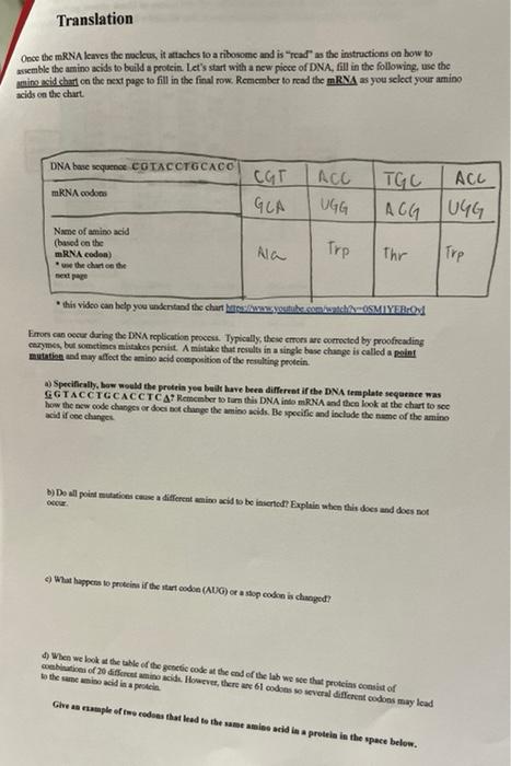 Solved Errors can occur during the DNA replication process. | Chegg.com