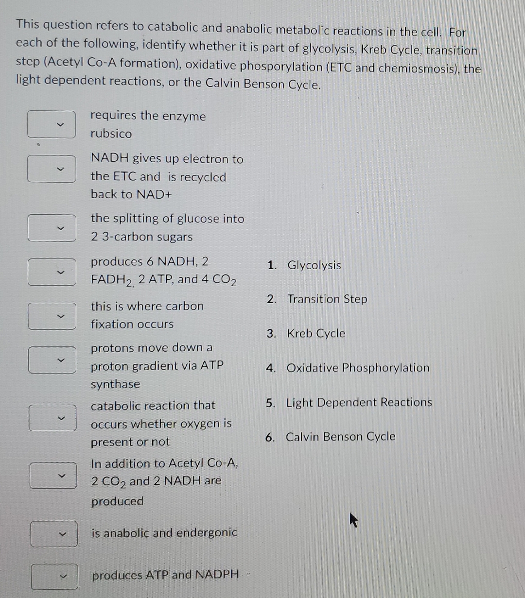Solved This question refers to catabolic and anabolic | Chegg.com Solved This question refers to catabolic and anabolic | Chegg.com