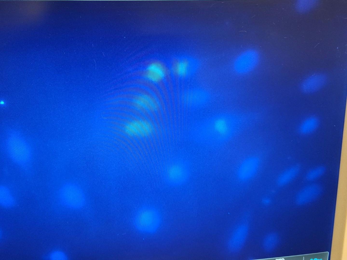 Solved 8: Acquiring Images with EVOS Microscope Lab Goal: - | Chegg.com