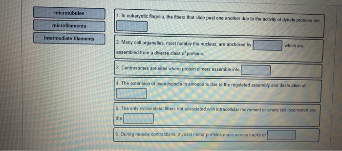 Solved microtubules 1. In eukaryotic flagella, the fibers | Chegg.com