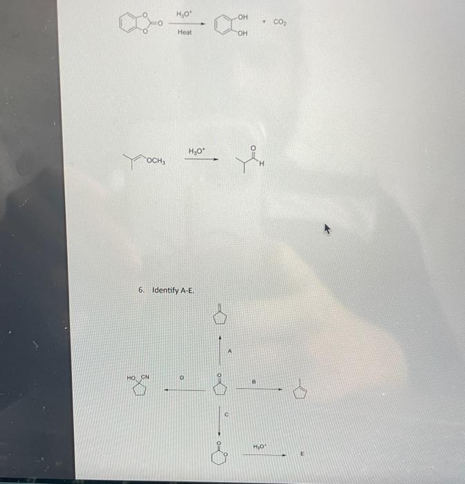 Solved Heat H2O∗= +CO2 6. Identify A-E. | Chegg.com