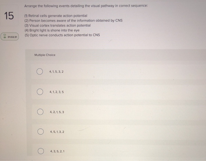 Solved Arrange the following events detailing the visual | Chegg.com
