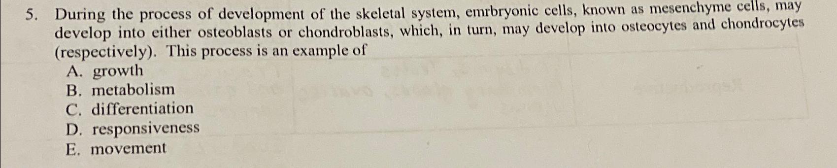 Solved During the process of development of the skeletal | Chegg.com