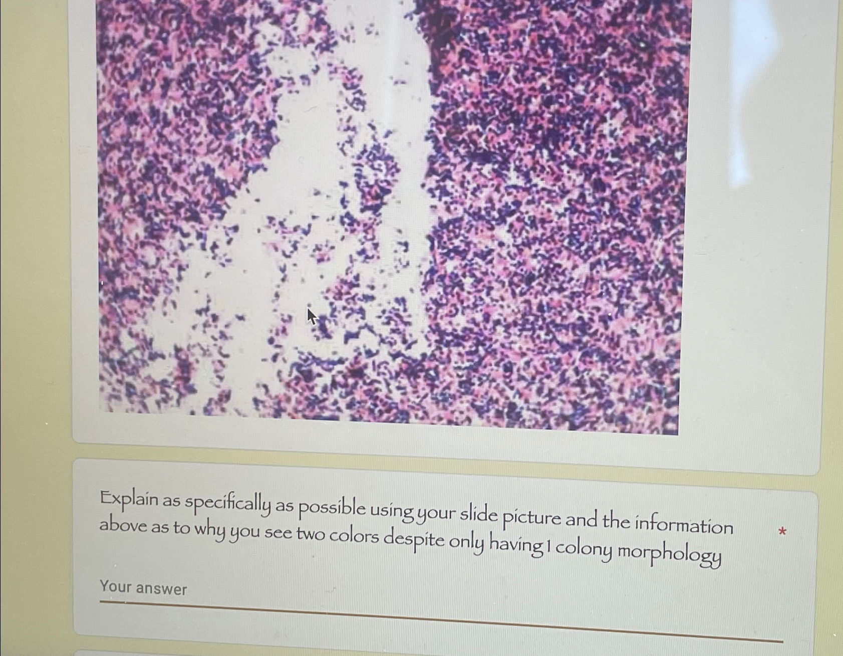 Solved Explain as specifically as possible using your slide | Chegg.com