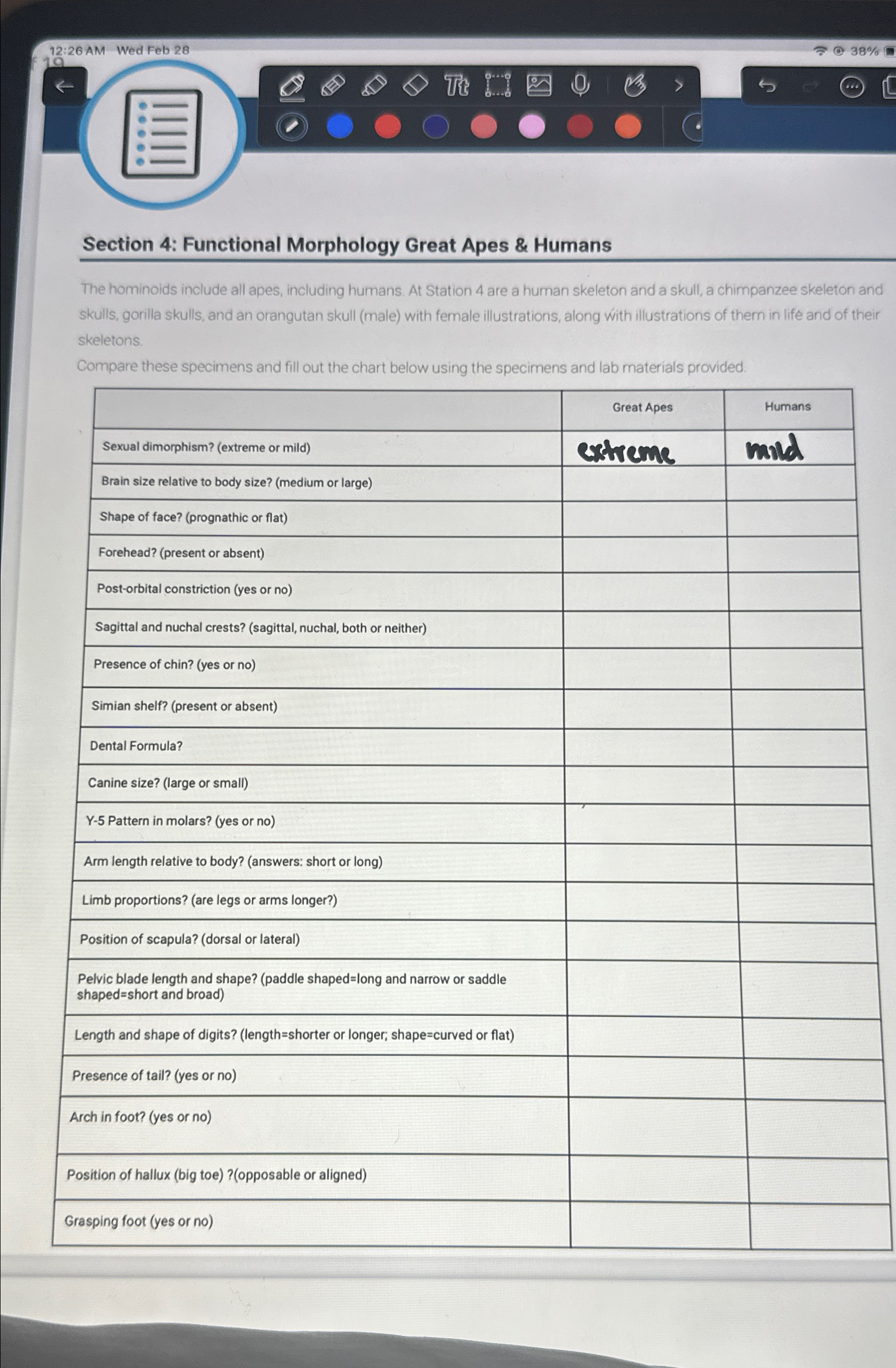 Solved 12:26 ﻿AM Wed Feb 28Section 4: Functional Morphology | Chegg.com