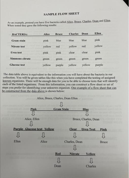 Solved As an example, pretend you have five bacteria called | Chegg.com