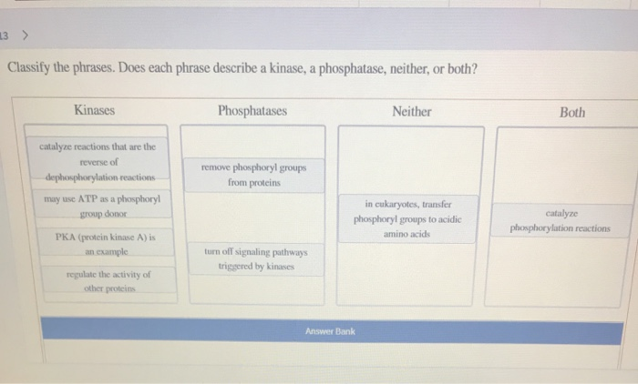 Solved Classify the phrases. Does each phrase describe a | Chegg.com