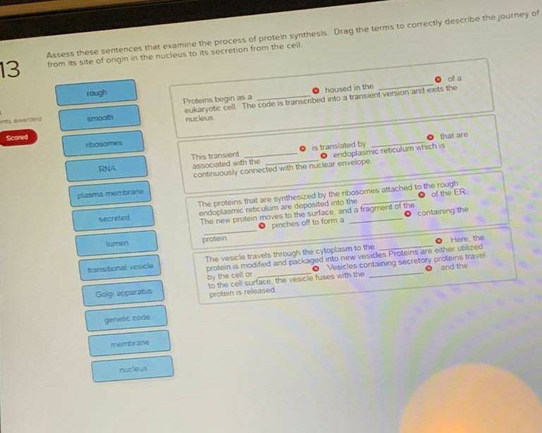 Solved 73 Assess these sentences that examine the process of | Chegg.com