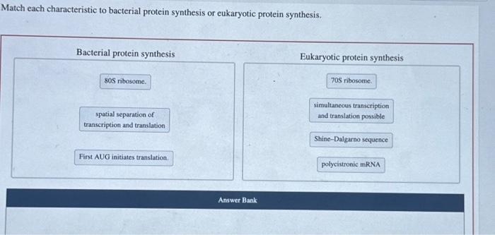 Solved Match each characteristic to bacterial protein | Chegg.com