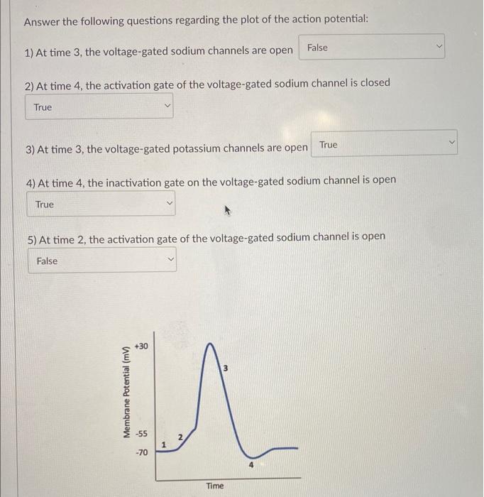 Solved Answer the following questions regarding the plot of | Chegg.com