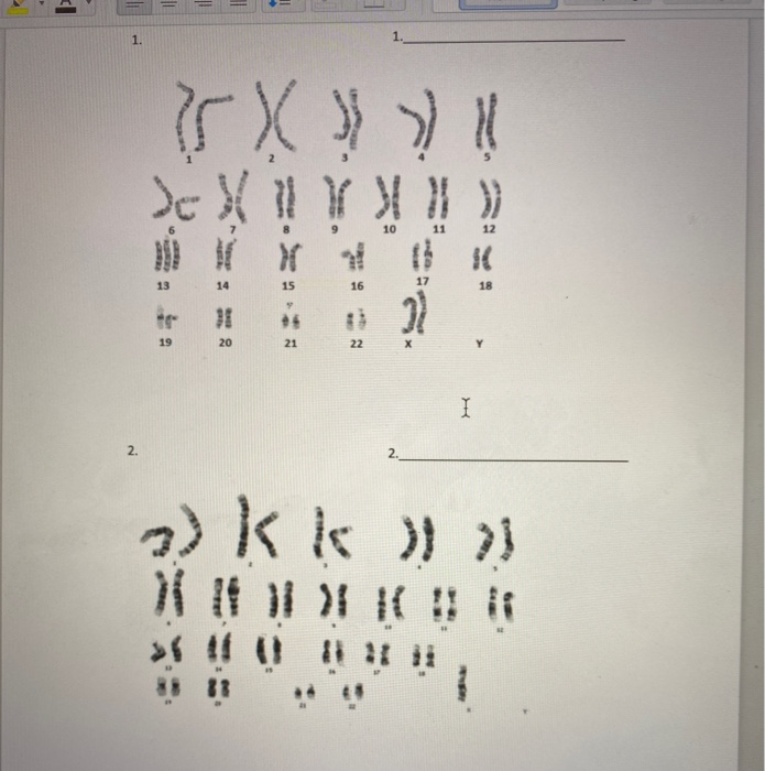 Solved Enter the karyotype descriptions for the following | Chegg.com