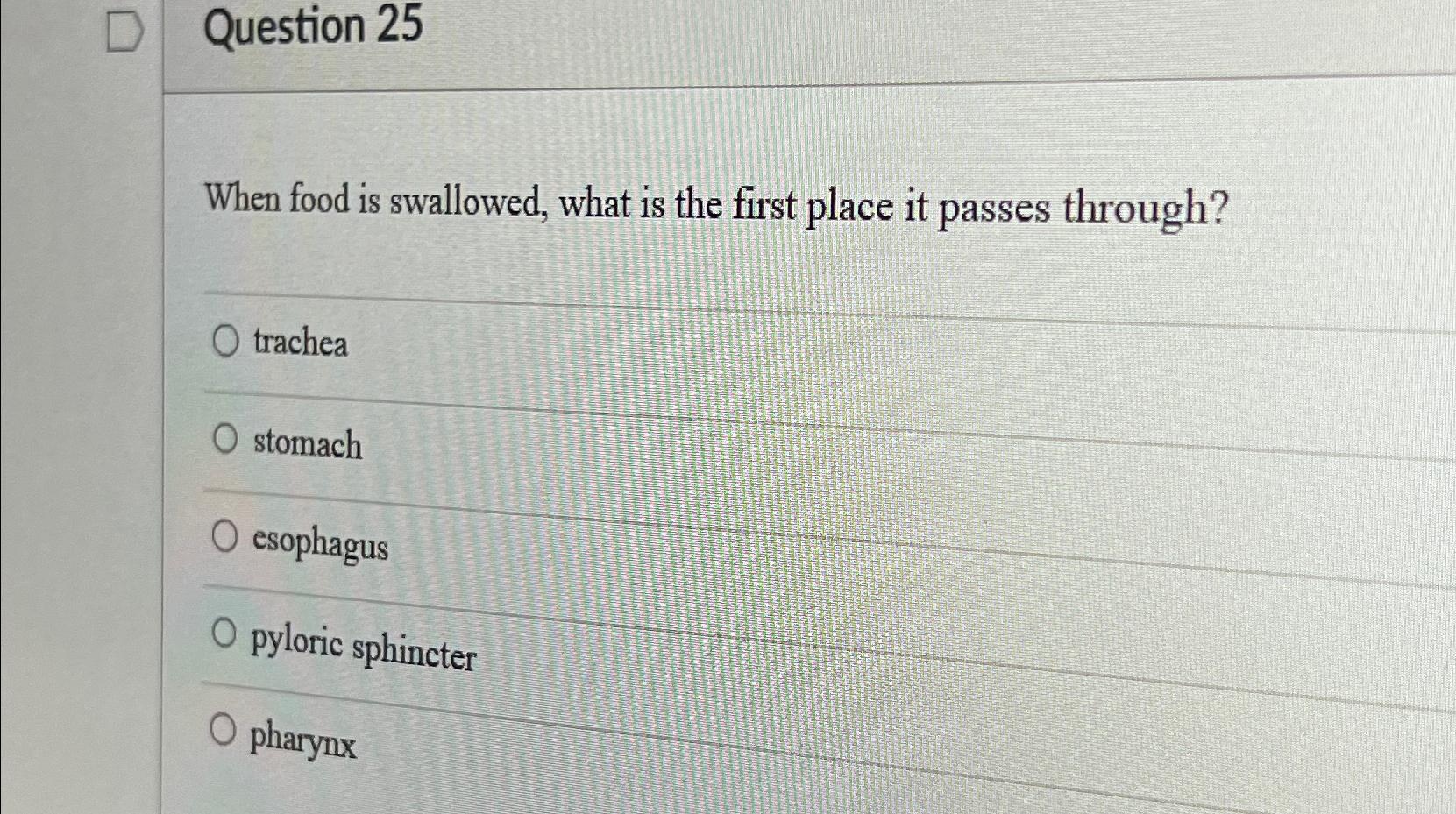 Solved When food is swallowed, what is the first place it | Chegg.com